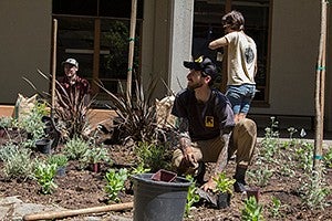 Class designs, installs Lawrence Hall courtyard garden | College of Design