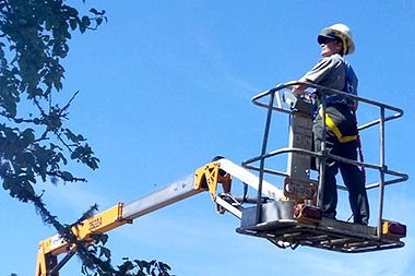 National Park Service’s Susan Dolan Named 2020 Lawrence Medalist ...