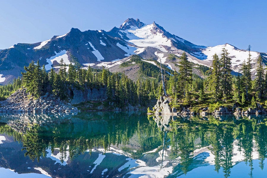 Studying Fractals in Nature: Fractal Patterns in Nature Relieve Stress ...