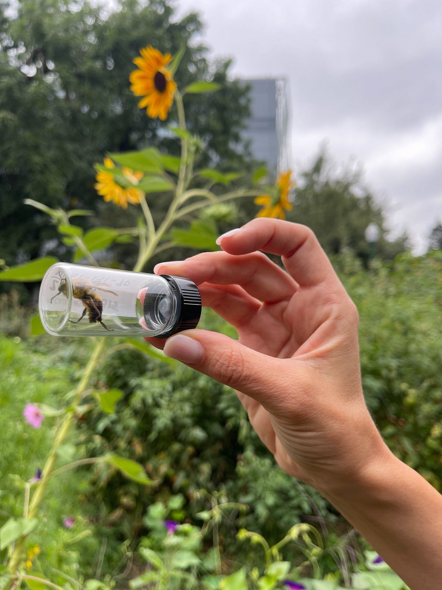 Bruton Design Intensive 2022 Workshop | College of Design